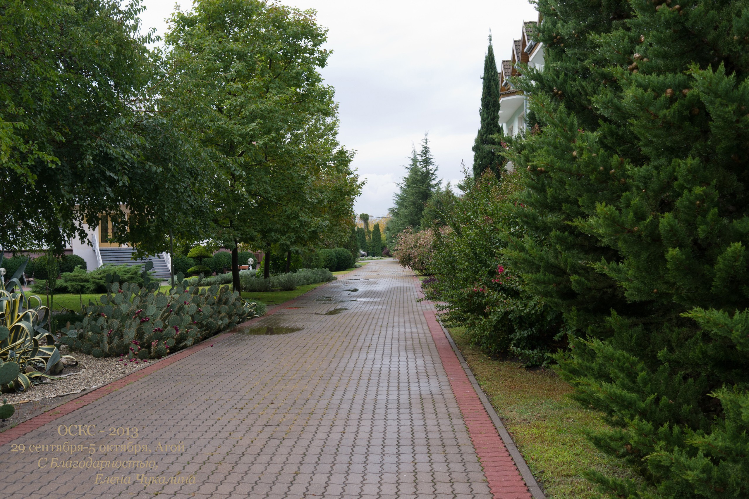 OCKC | О конференции